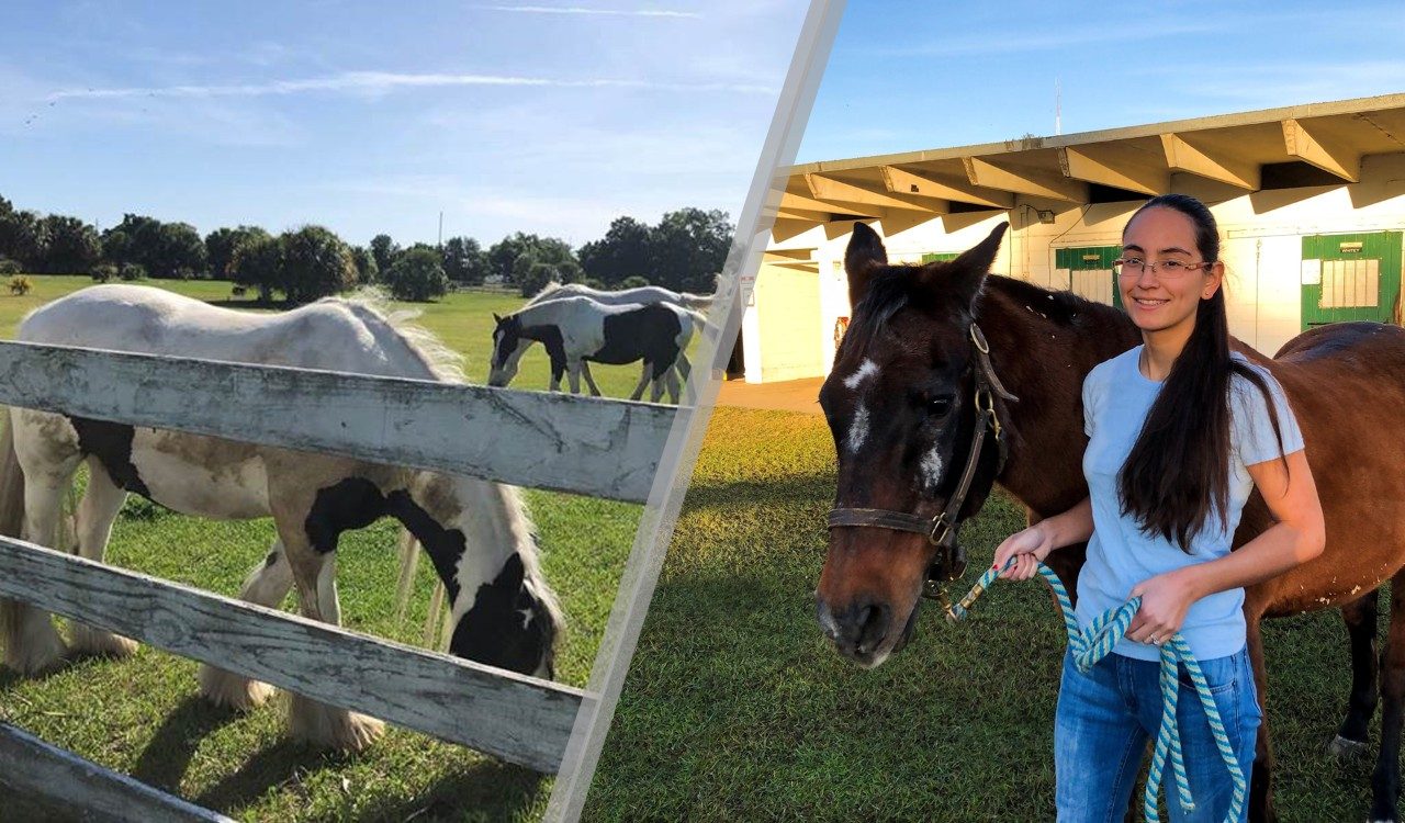 Finding Freedom in Equine Therapy | Lockheed Martin